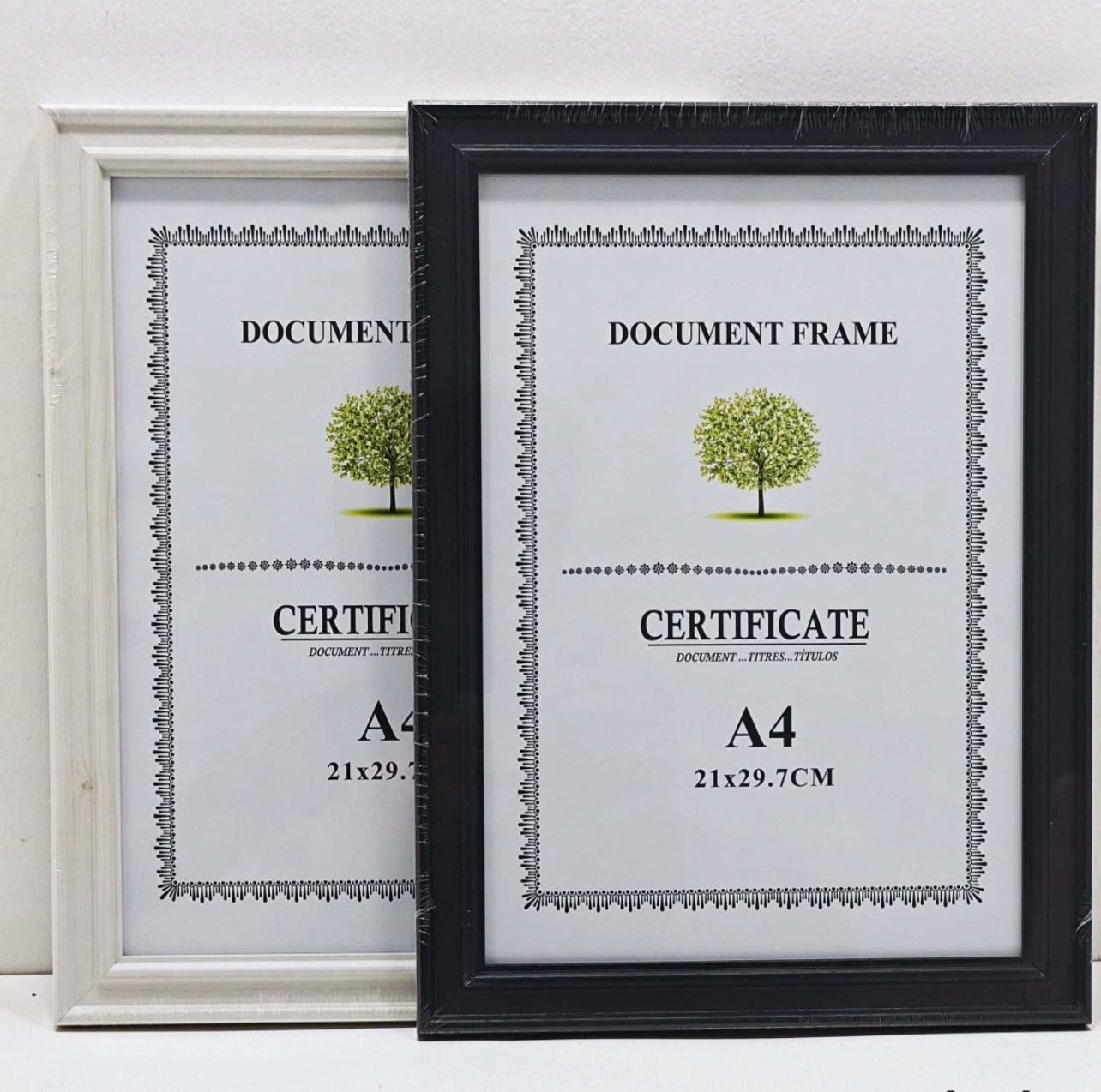 Document Frame – Megamall Online Store