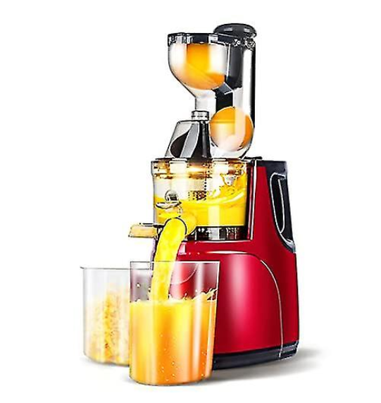 RAF Multifunction Slow Juicer Machine – Megamall Online Store