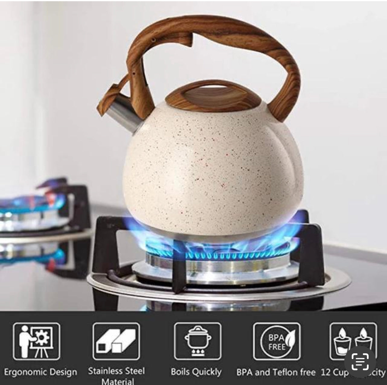 Stove Top Kettle 3L – Megamall Online Store